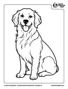 Free Golden Retriever Dog Colouring Page PDF Download | Captain ...
